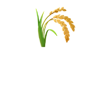 Noka Matcha - La nouvelle expérience matcha ! – Nōka Matcha